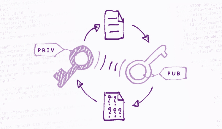 Public-Private Keys là gì? Cách bảo vệ tài khoản ví crypto của bạn