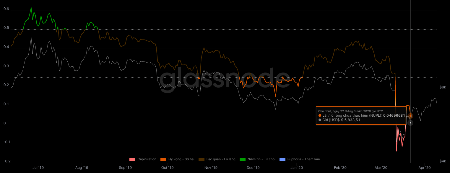 Hướng dẫn sử dụng Crypto Quant và Glassnode phân tích thị trường On-chain