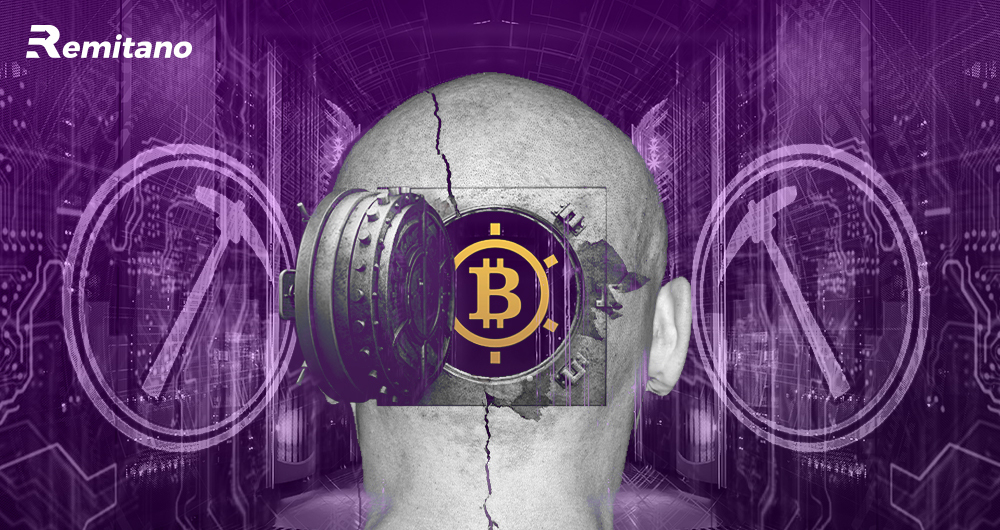 Investigating the Bitcoin Vault Price Today: A Closer Look at the South ...