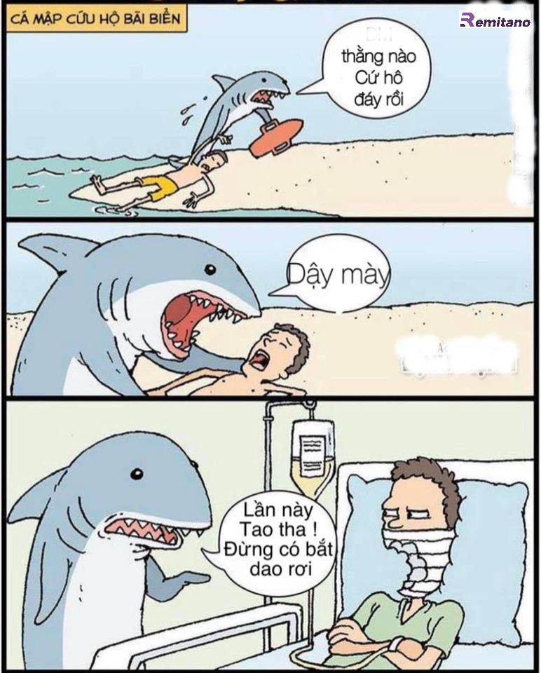 [Crypto Meme] bắt dao rơi