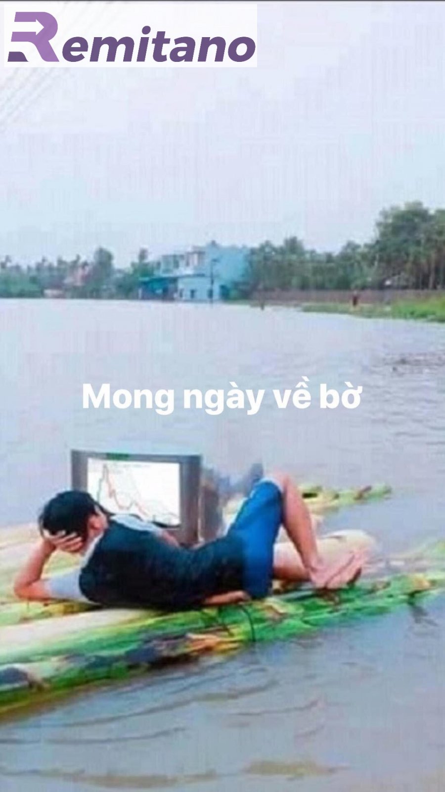 [Crypto Meme] + mong ngày về bờ